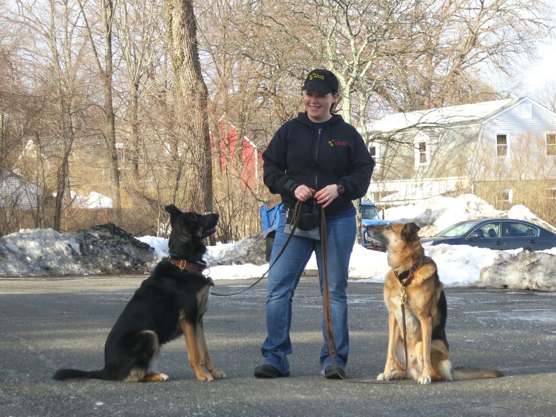 Everything Dogs: Puppy and Dog Training Classes | Greenwich Free Press