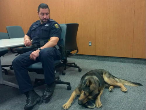 Michael Macchia and “Tyro” Share Greenwich Police Officer of the Month ...
