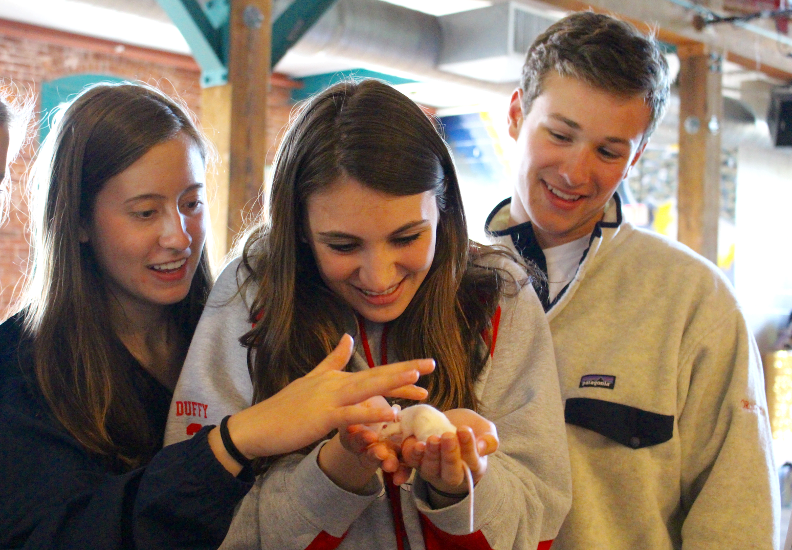 GHS Innovation Lab Students Showcase Prototypes and Designs at Arch ...