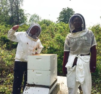 More Than Just Science: An Interview with Senior Derek Woo | Greenwich ...