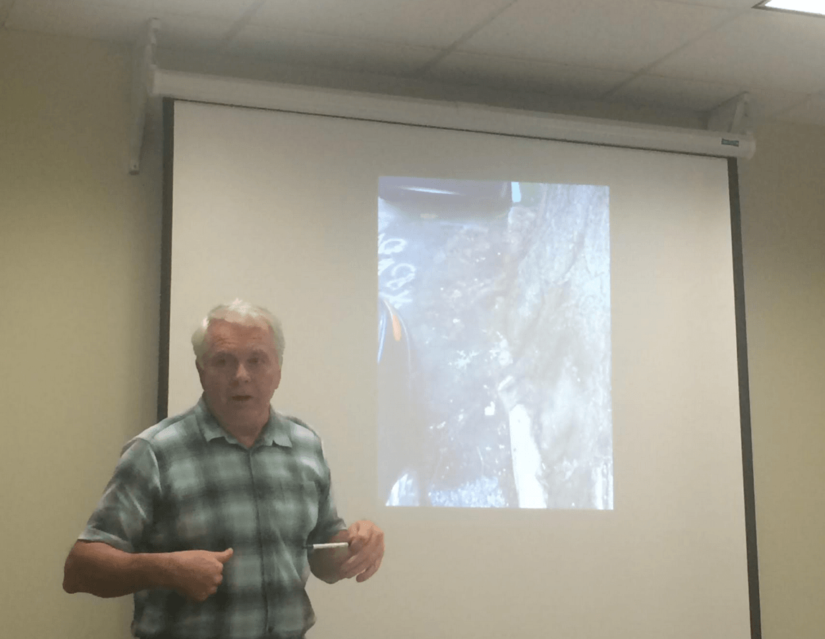 Greenwich Tree Warden: Byram Pin Oak Tree is Healthy as a Horse ...