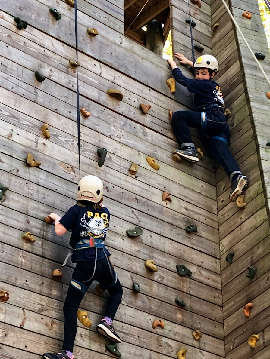 Scout Skills on Display at Fall Cub Festival | Greenwich Free Press