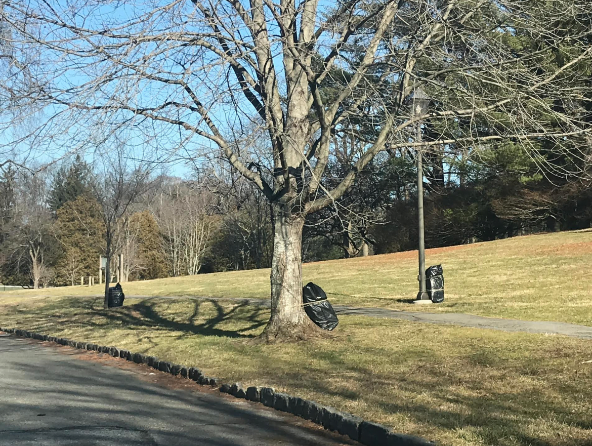 Have You Wondered What Are Those Bags in Bruce Park? | Greenwich Free Press
