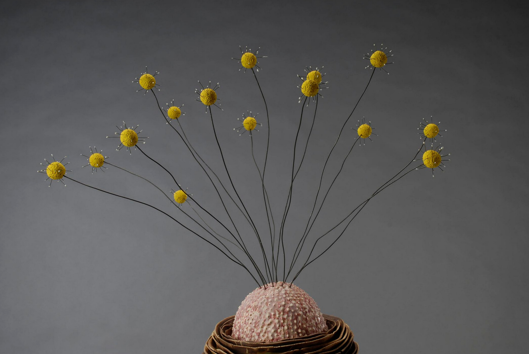 Flinn Gallery Exhibit opens Thursday: Forms of Nature – Joan Goldin and ...