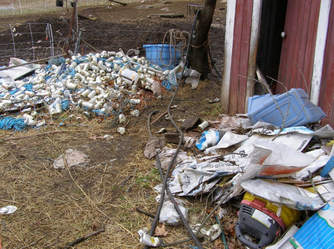 State Moves for Custody of 99 Sheep; Owner Charged with Animal Cruelty ...