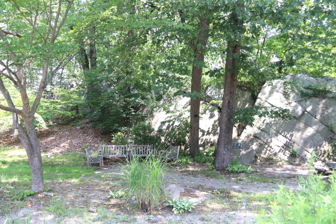 CMS Update: Fate of Rock Outcropping, Building Committee Chair, P&Z ...