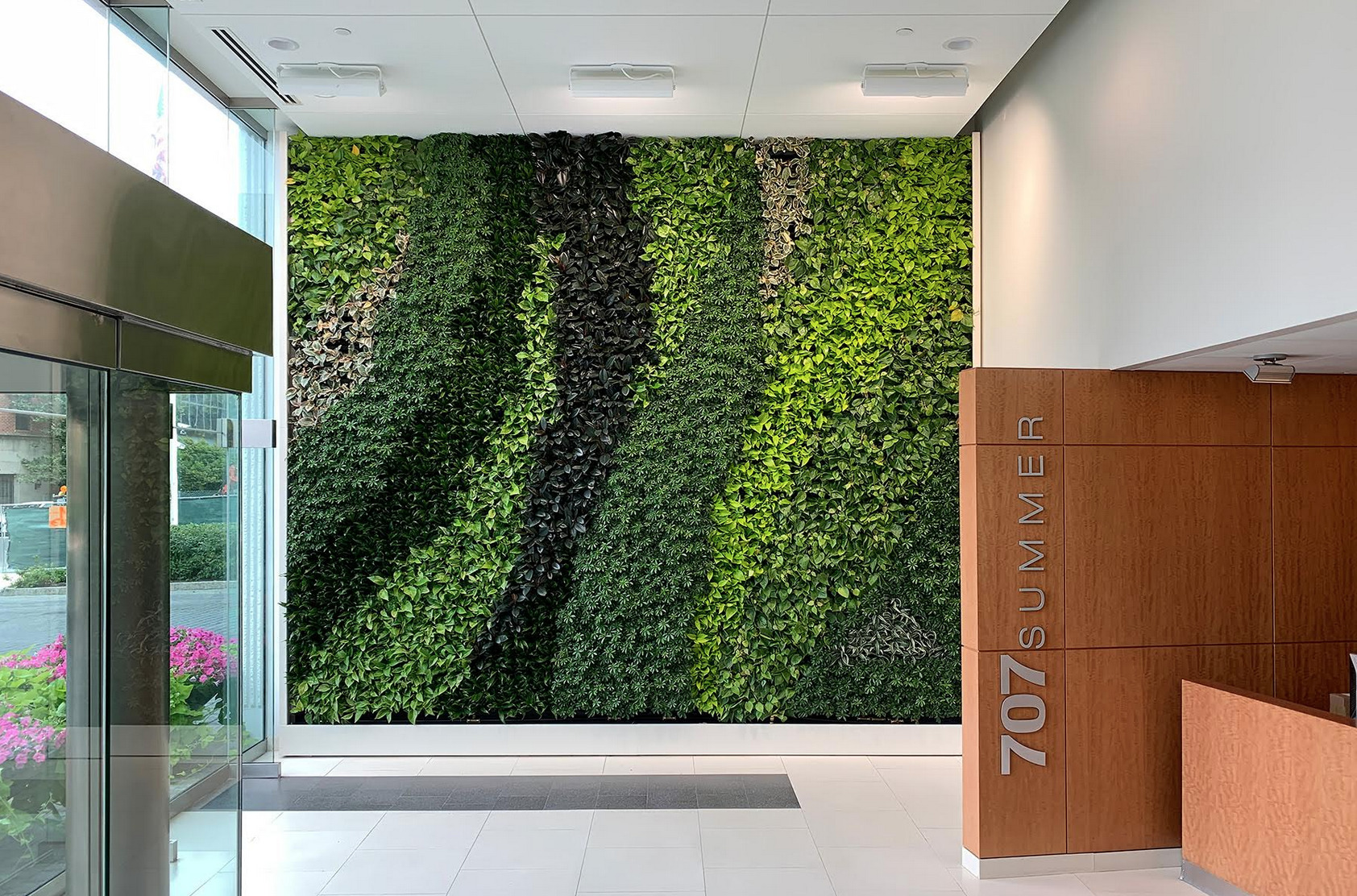 Ashforth Company Unveils Living Wall at Its Headquarters | Greenwich ...