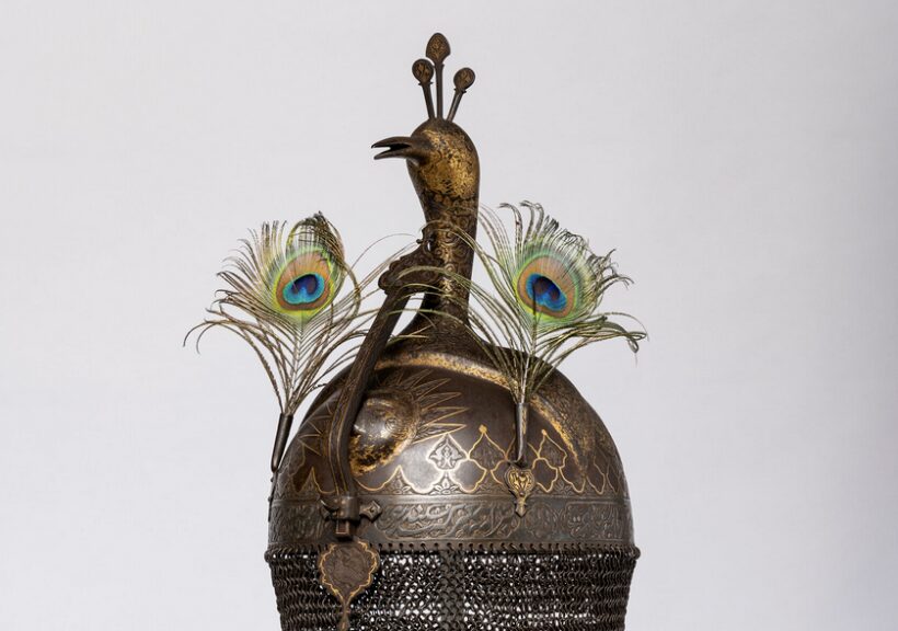Nature’s Armor Meets Human Ingenuity: Exploring the Intersection at ...