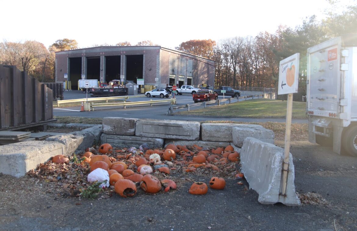 Holly Hill Sets Up an Area for Residents to Drop Off Pumpkins to be ...