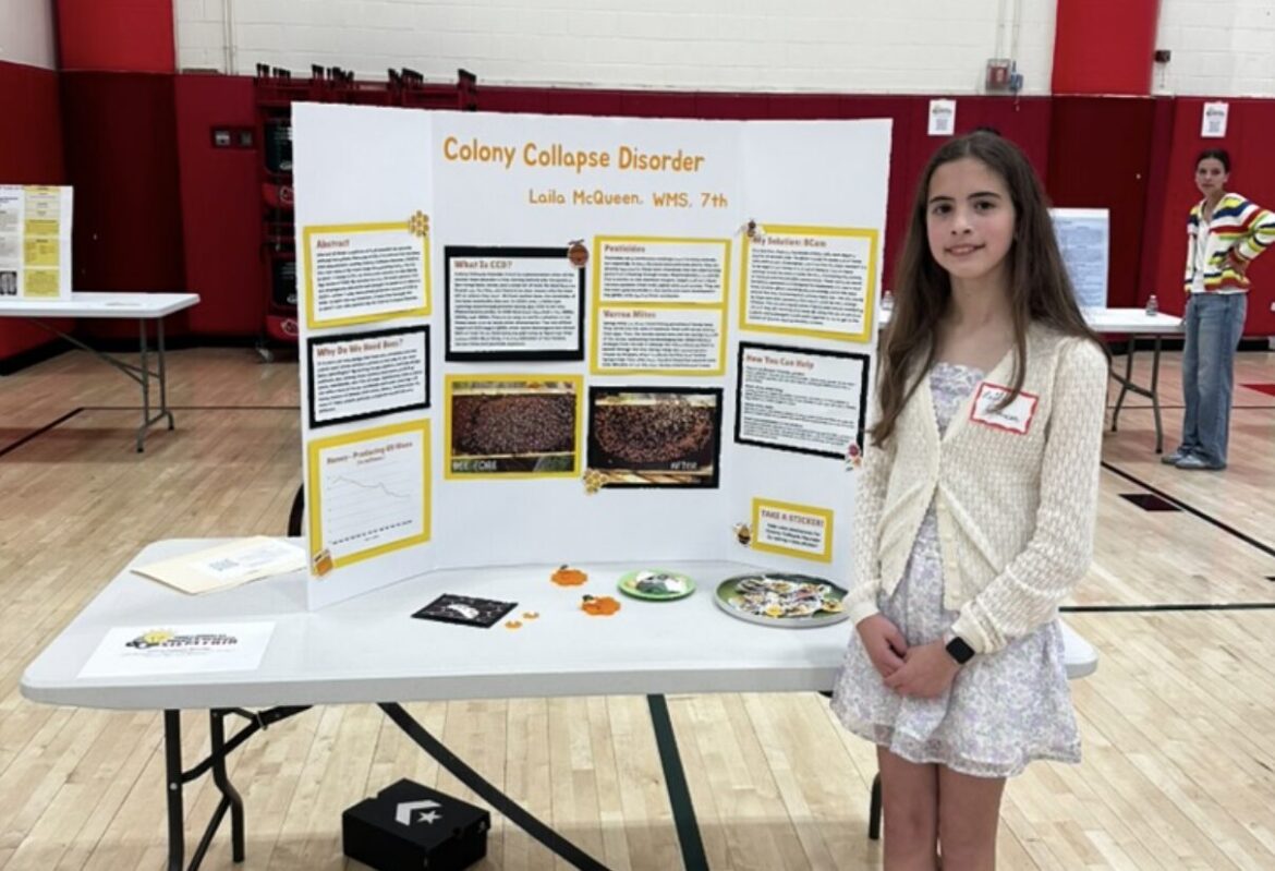 From Curiosity to Community: Middle School STEM Fair Celebrates Student ...