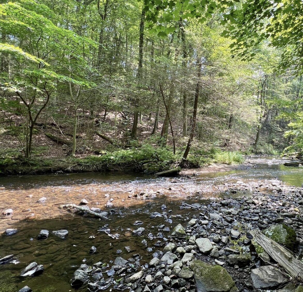 Connecticut Greenways Council and CT DEEP Designates Byram River ...