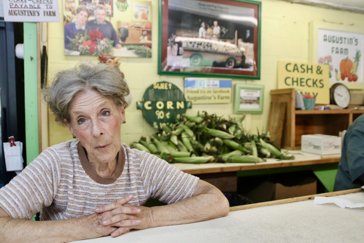 Rain and Heatwave Notwithstanding, Augustine’s Farm Opens For 2025 ...