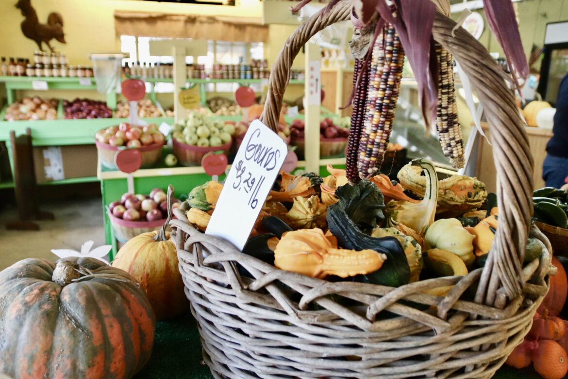 Augustine’s Farm: The Inspiration You Need For Your Thanksgiving Dinner ...