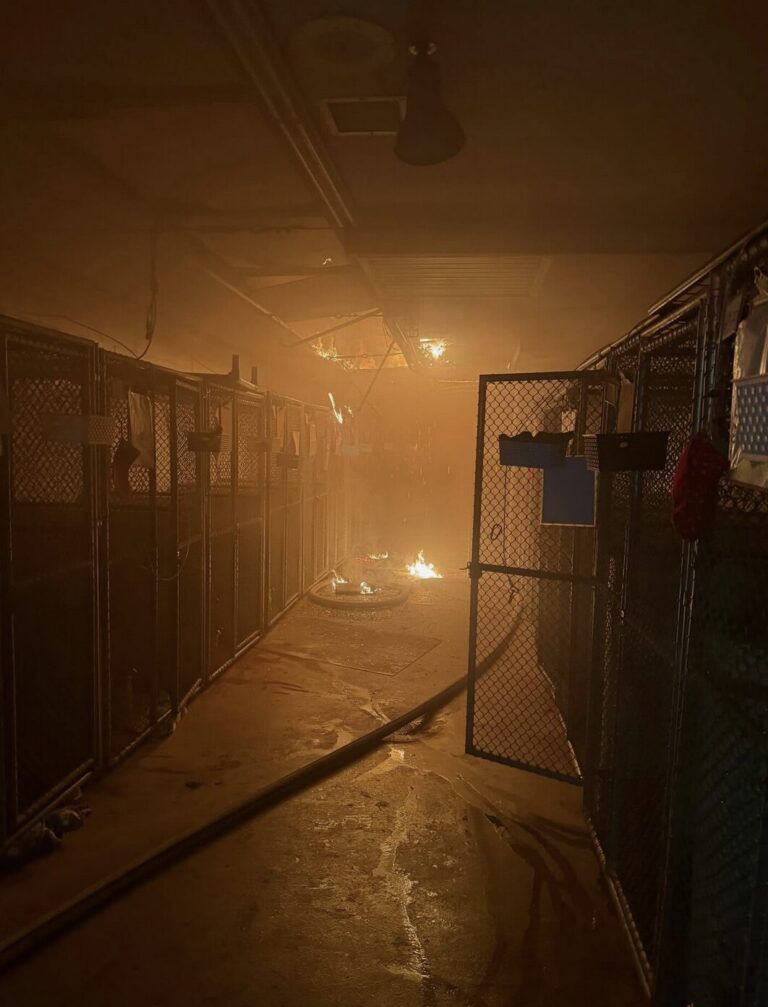 Bedford Fire Dept: Rescue & Relocation of Dogs at Northwind Kennels ...