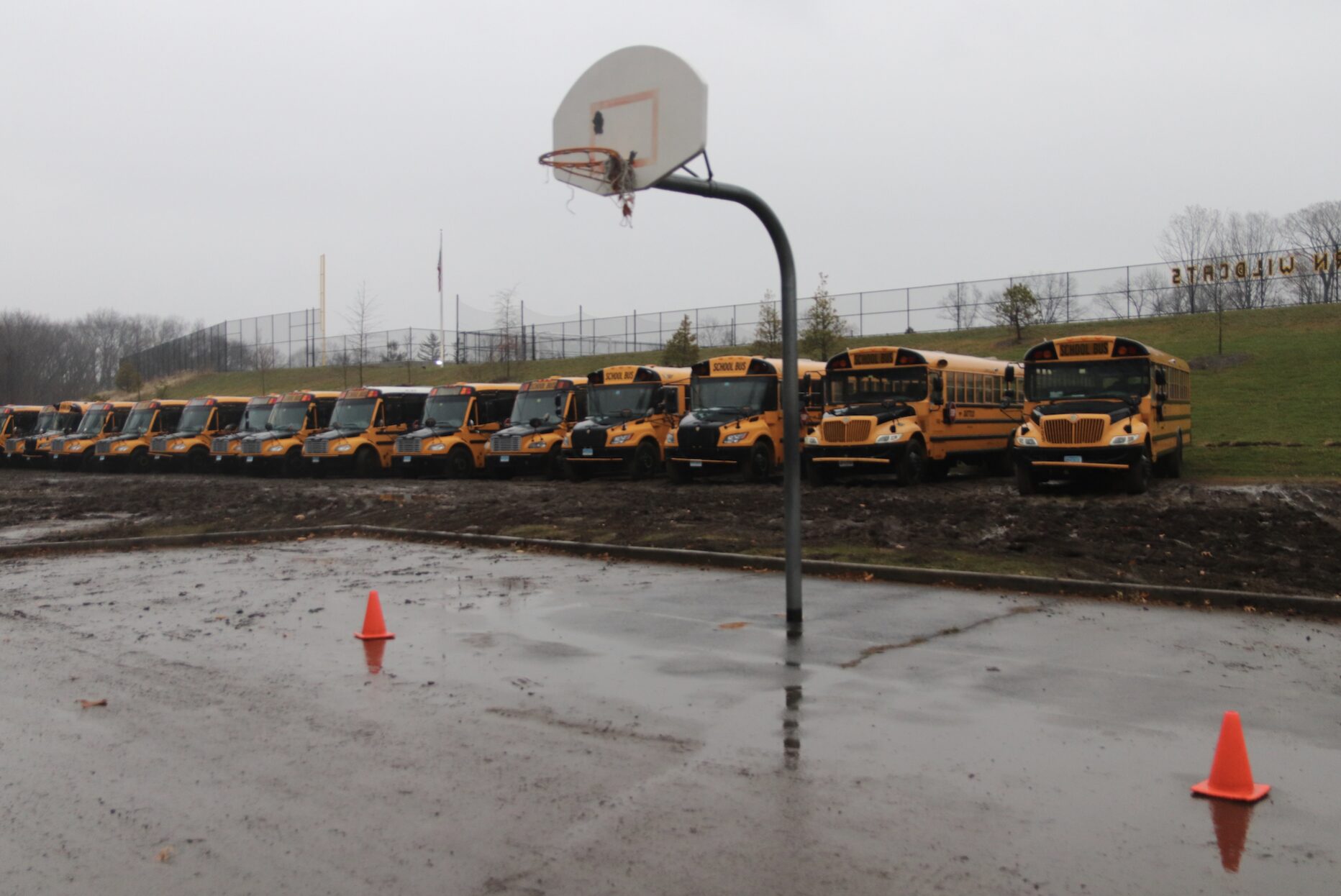 Greenwich Schools Chief, Dr. Toni Jones: Good News about Bus Parking ...