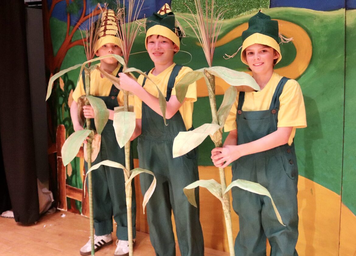 Cos Cob School Continues 5th Grade Play Tradition with The Wizard of ...